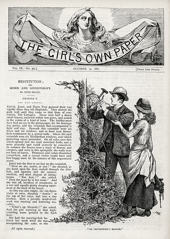 11.8 The Reading Girl (after 1860) – Her Half of History